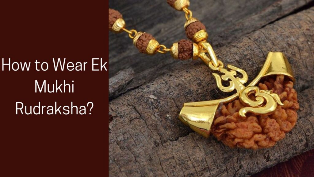 How to Wear Ek Mukhi Rudraksha? - Pmkk Gems