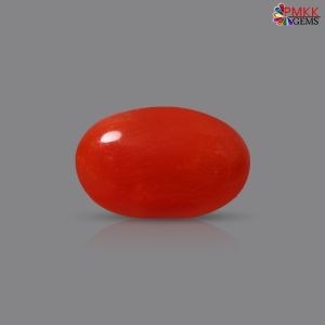 मूंगा रत्न| Buy Original Red Coral (Moonga Stone) at Best Price